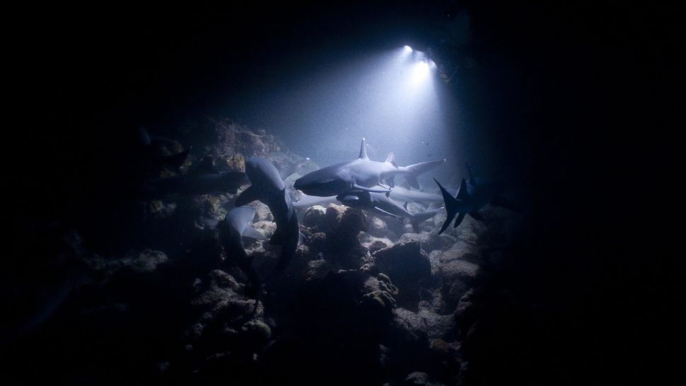 'We know far more about the deep ocean than the moon or Mars,' says ...