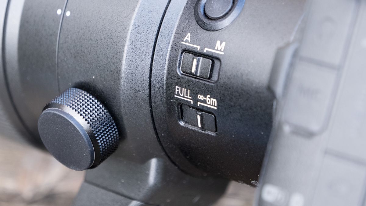 I took this Nikon super-telephoto lens on a dream safari trip – and ...