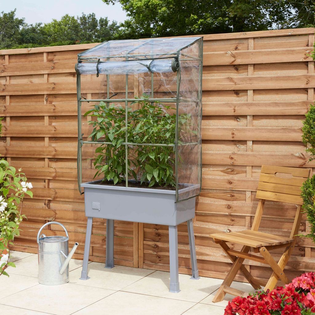 How to grow peppers from seed | Ideal Home