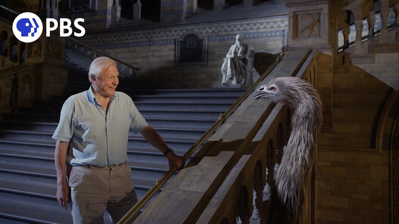 Watch "Museum Alive with David Attenborough" – US and UK streaming ...
