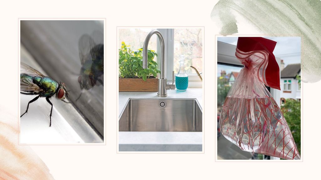 How to get rid of flies in the house: 8 tested methods | Woman & Home