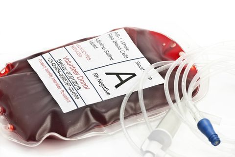 Gut Bacteria Enzyme Can Transform a Blood Cell's Type | Live Science