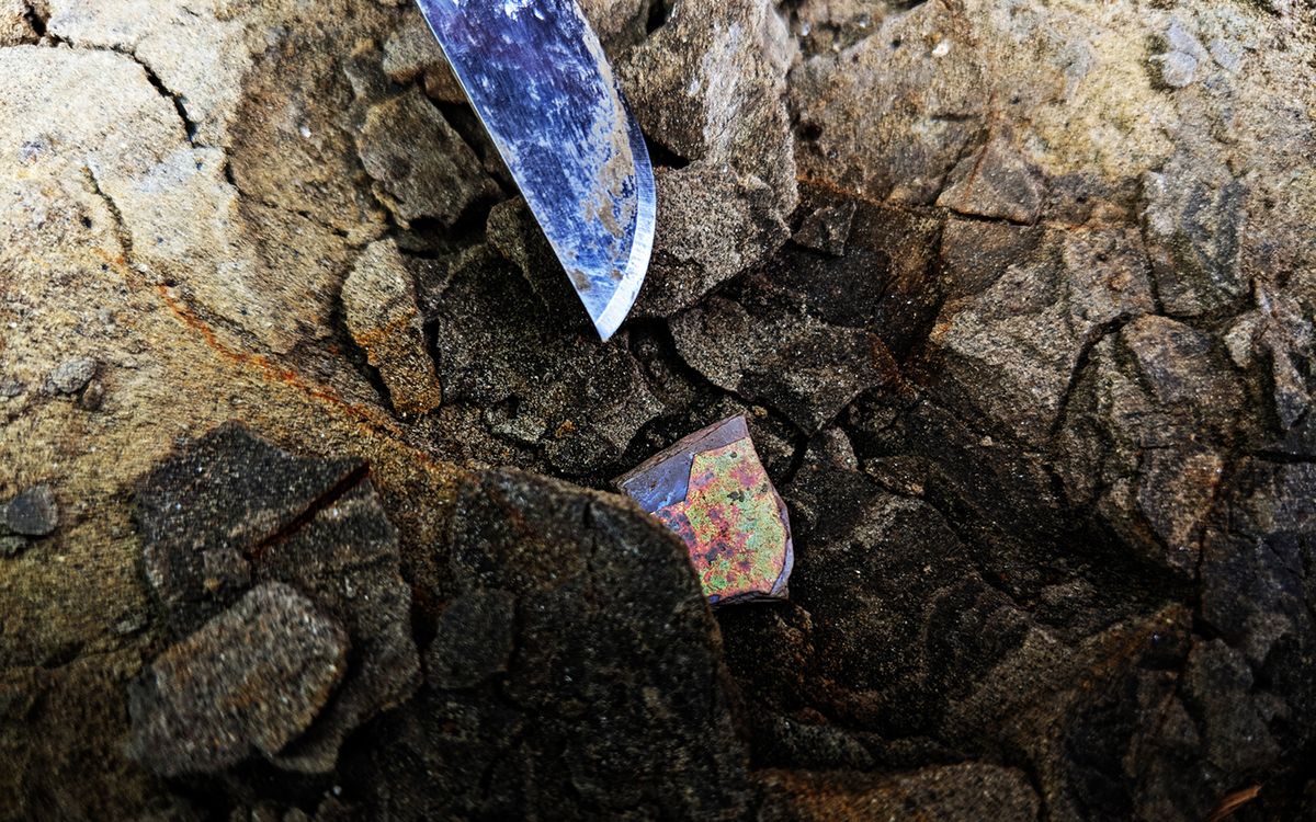 Photos: Cretaceous 'Graveyard' Holds a Snapshot of the Dino-Killing ...