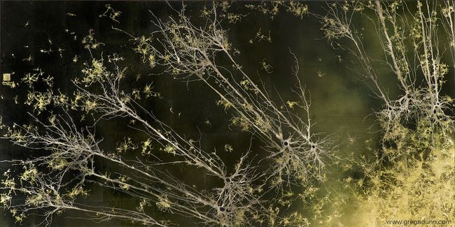 Dazzling Images of the Brain Created by Neuroscientist-Artist | Live ...