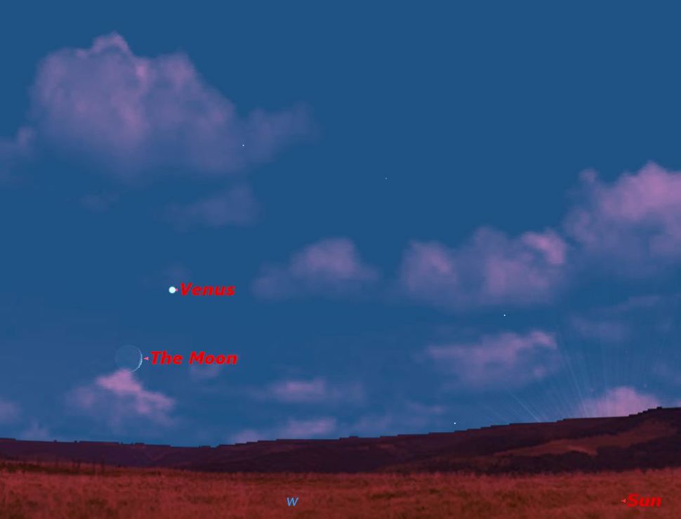 Images: Best Stargazing Events of August 2013 (Sky Maps) | Space