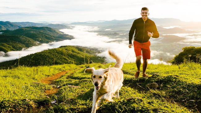 Can I hike with my dog off leash? | Advnture