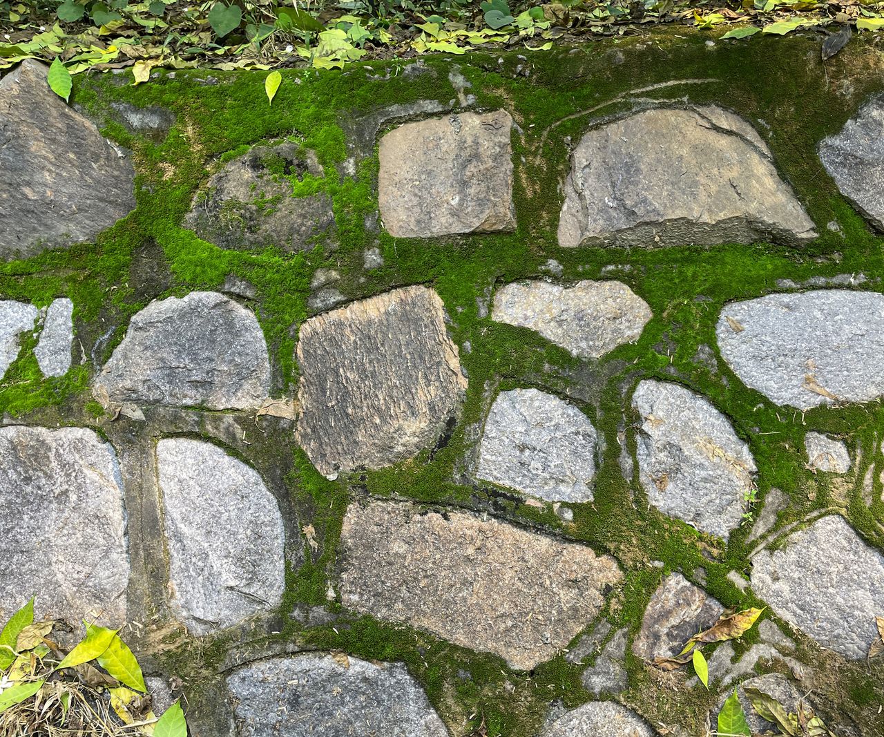 How to landscape with moss in your yard: 5 inspiring ideas | Homes and ...