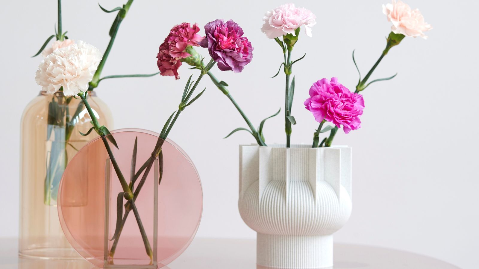 The carnation comeback – why we love this 'dated' flower | Livingetc