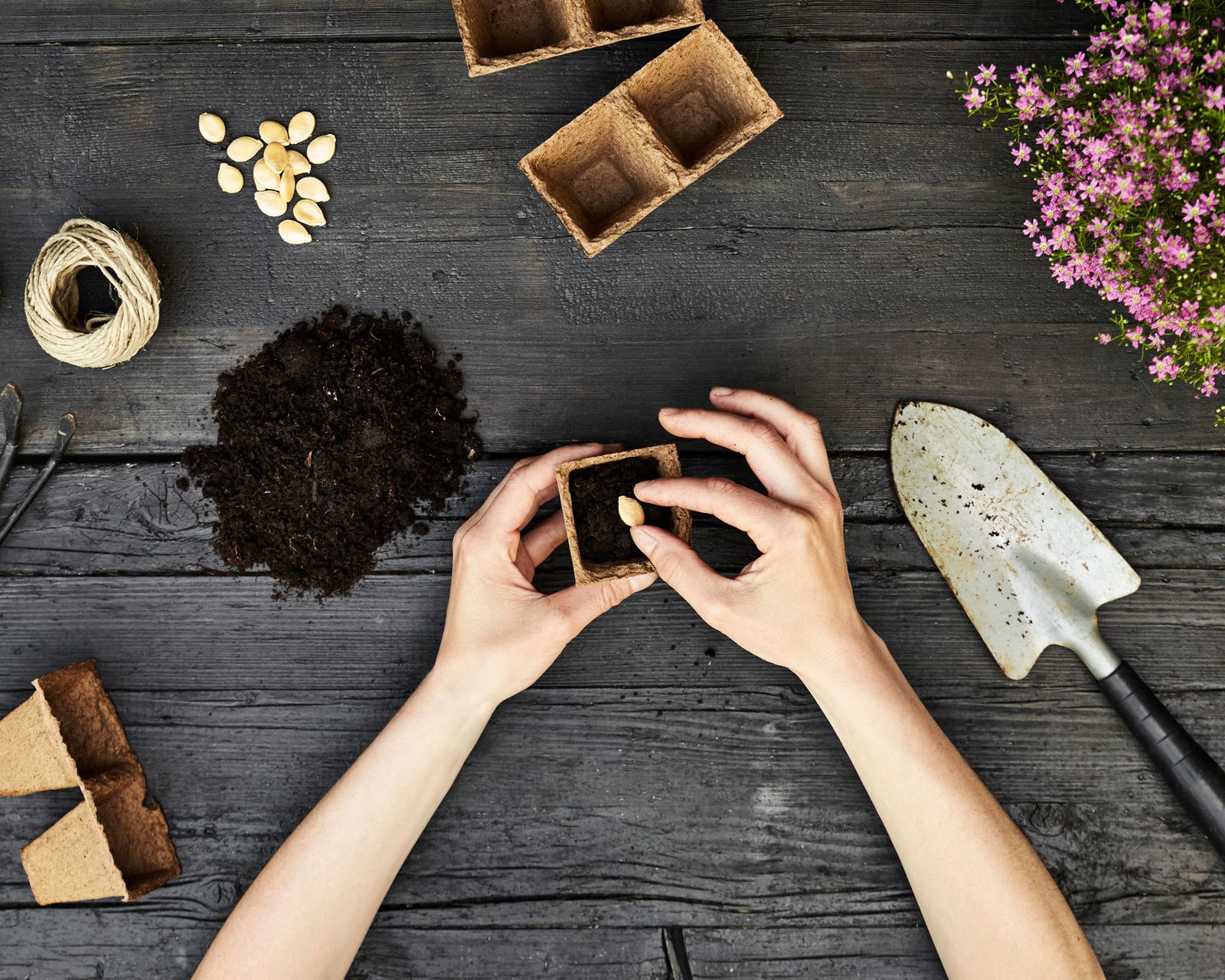 How to get free plants: 10 ways to increase your collection | Gardeningetc