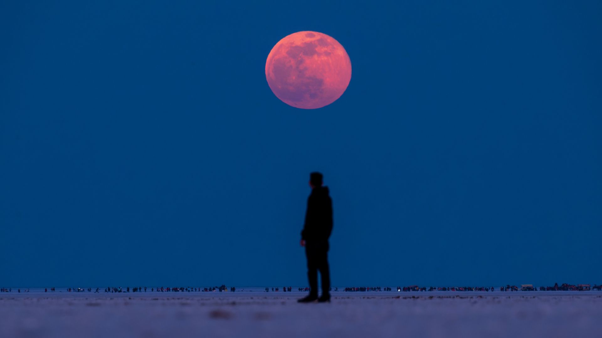 Crescent Moon Blood Coloring