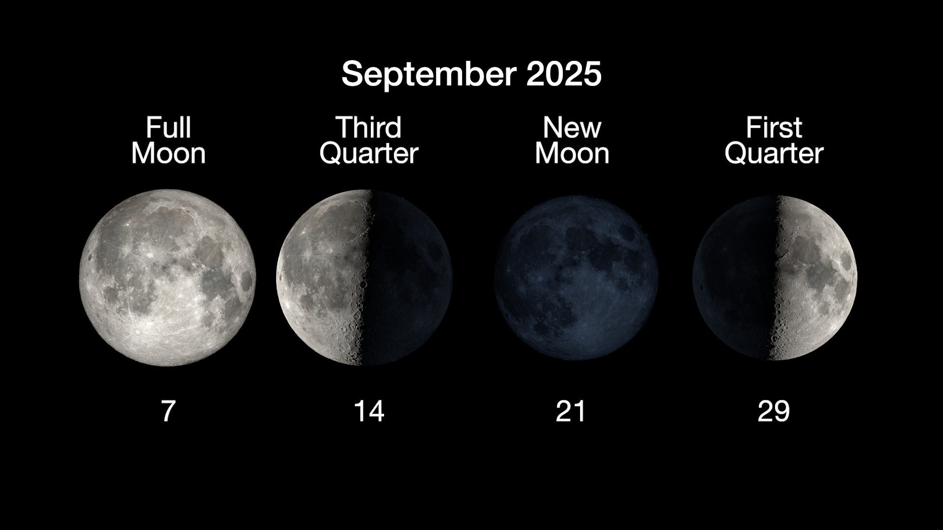 The Full Moons Phases From Earth
