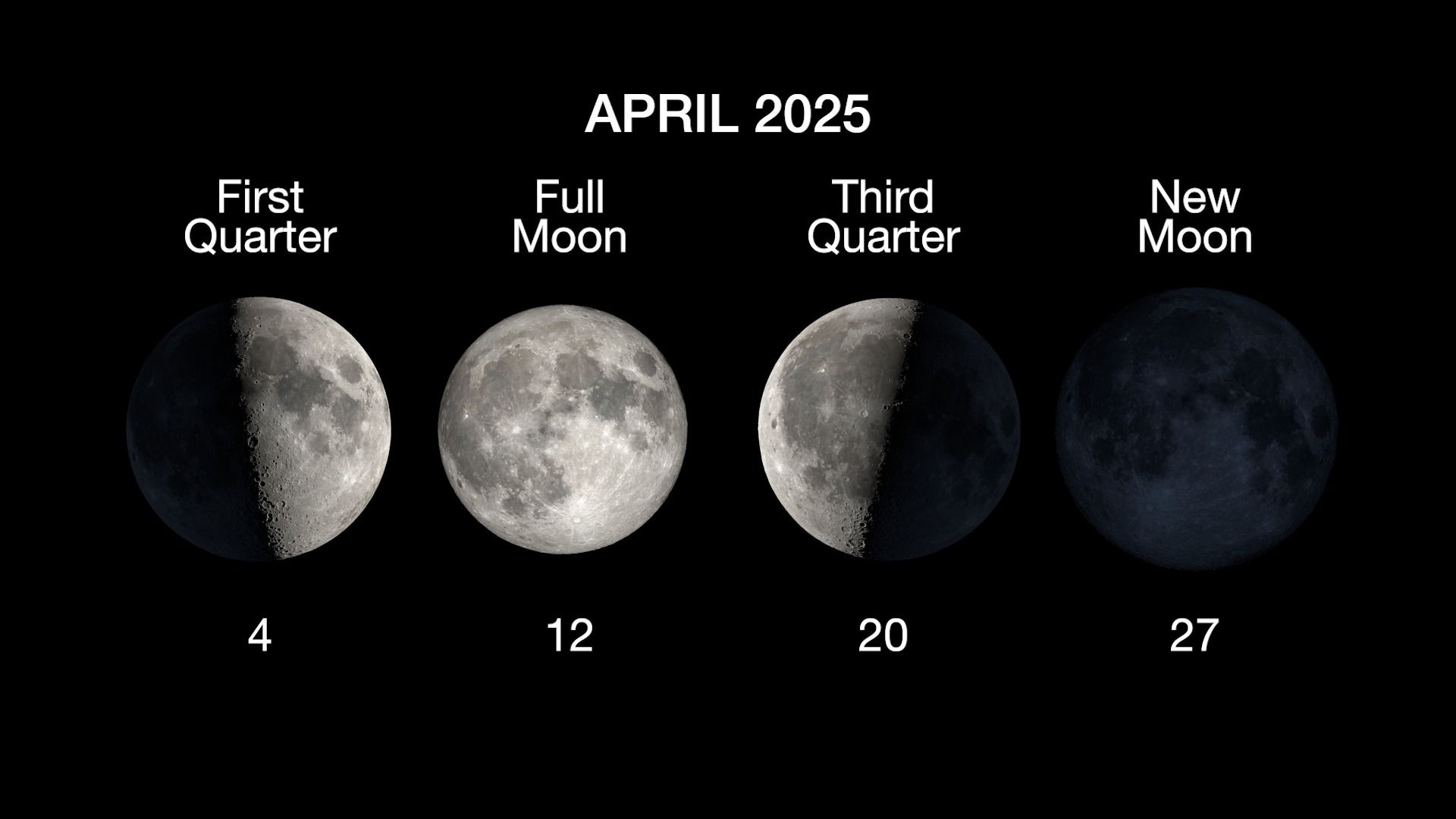 Quarter Moon Face Understanding Moon Phases | The 8 Phases Of The Moon