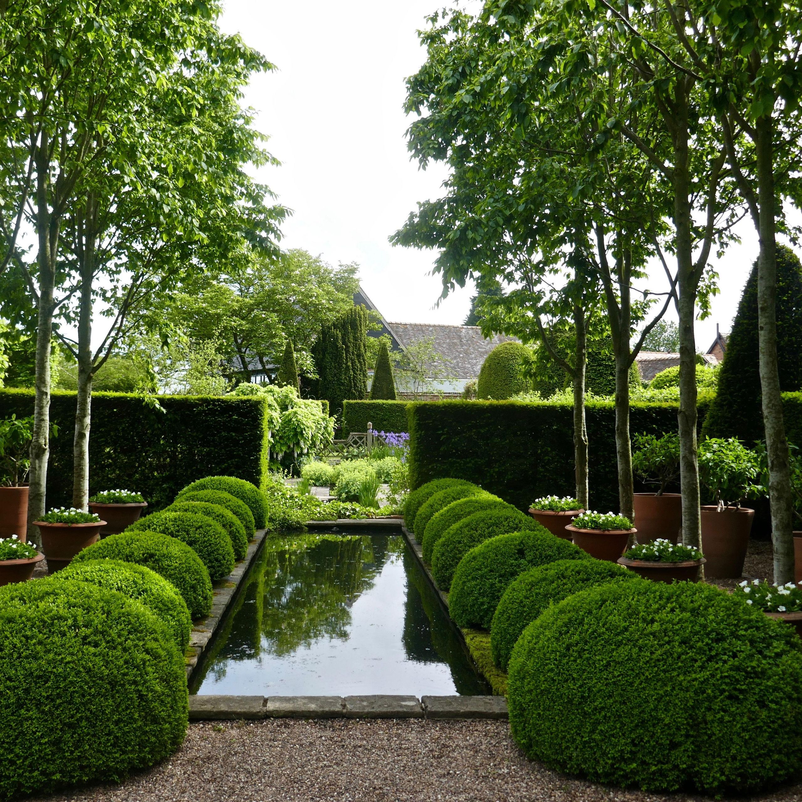 Outdoor Plan Idea Pictures Of Landscaping Hedges And Shrubs