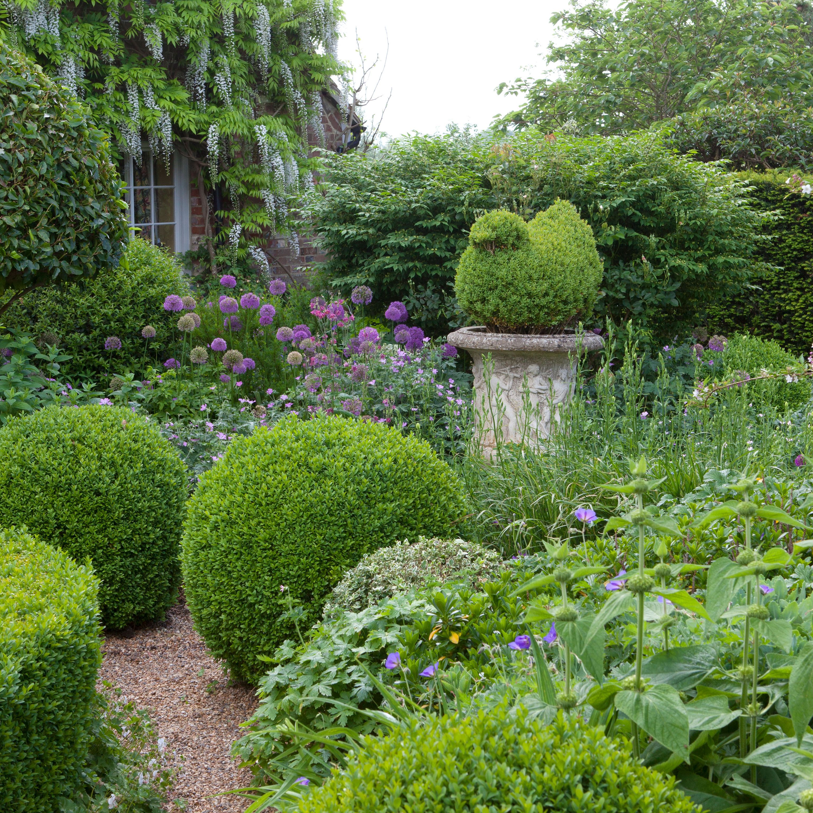 Modern Evergreen Shrubs For Landscaping