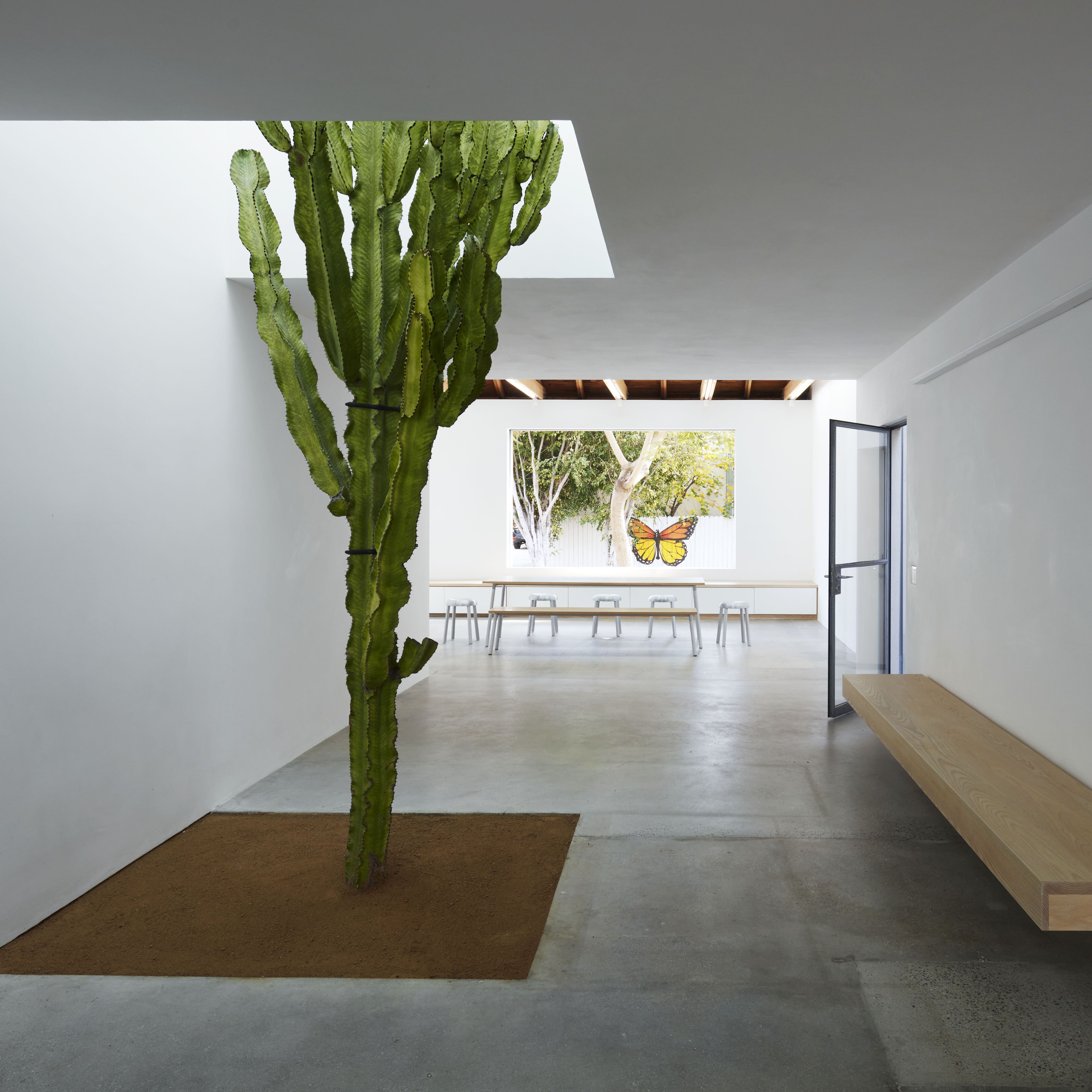 Bonkum Designs Venice California