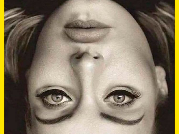 Upside Down Picture Illusion
