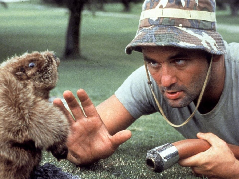 Dr Beeper Caddyshack Quotes The 20 Funniest Lines In Caddyshack,