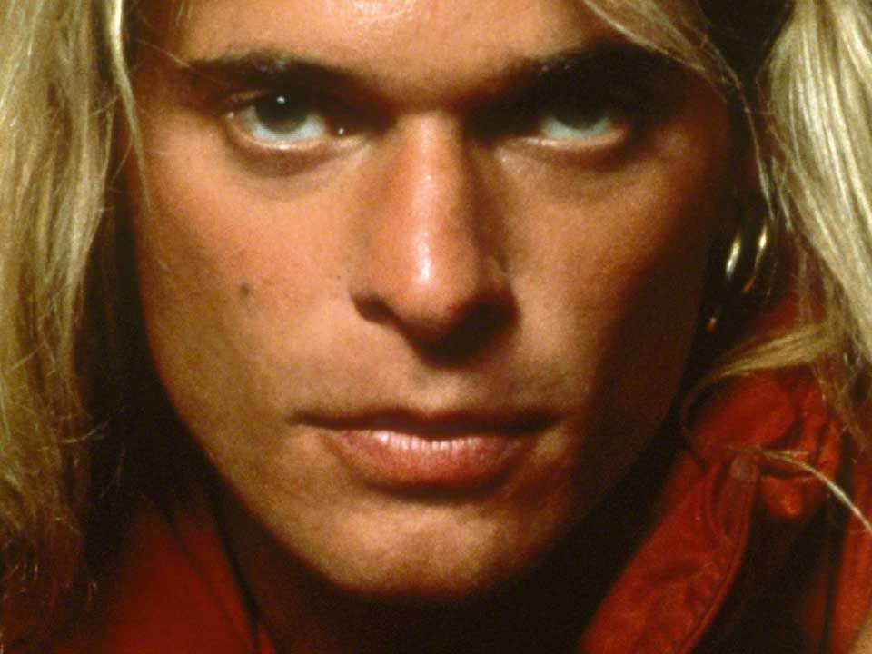 David Lee Roth Quotes