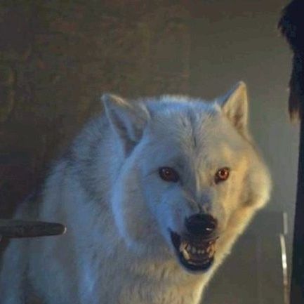 Wolf Jon Snow