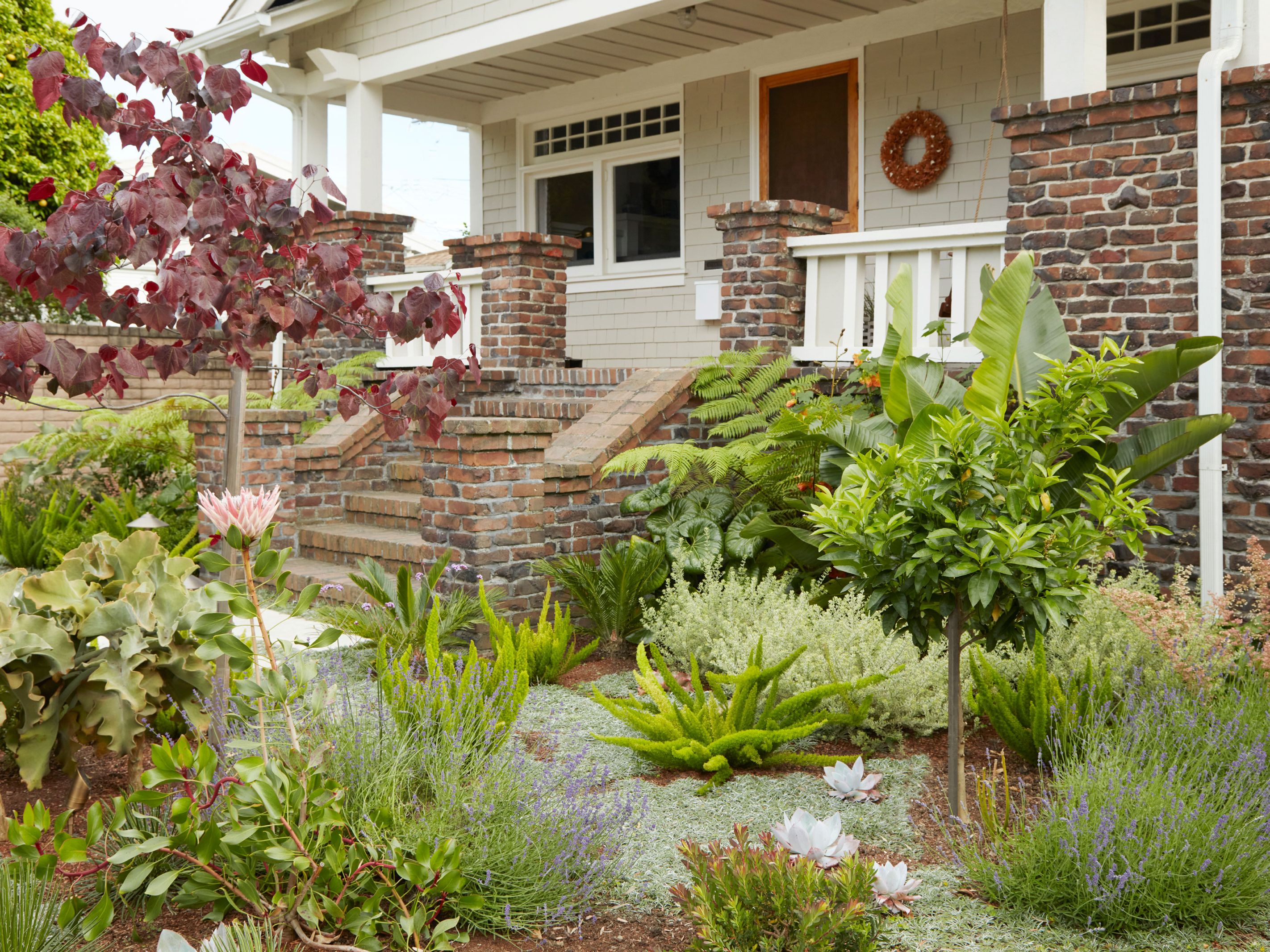 Front Landscaping Vegetable Garden