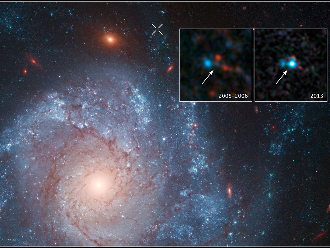White Dwarf Supernova Detonation