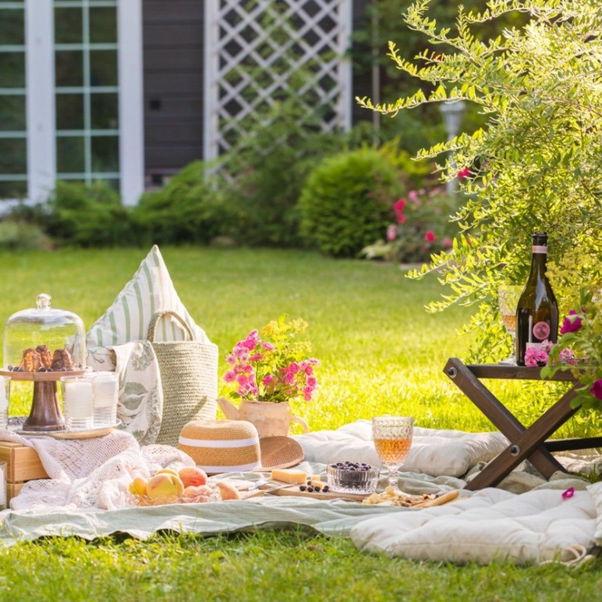 Backyard Picnic Set Up