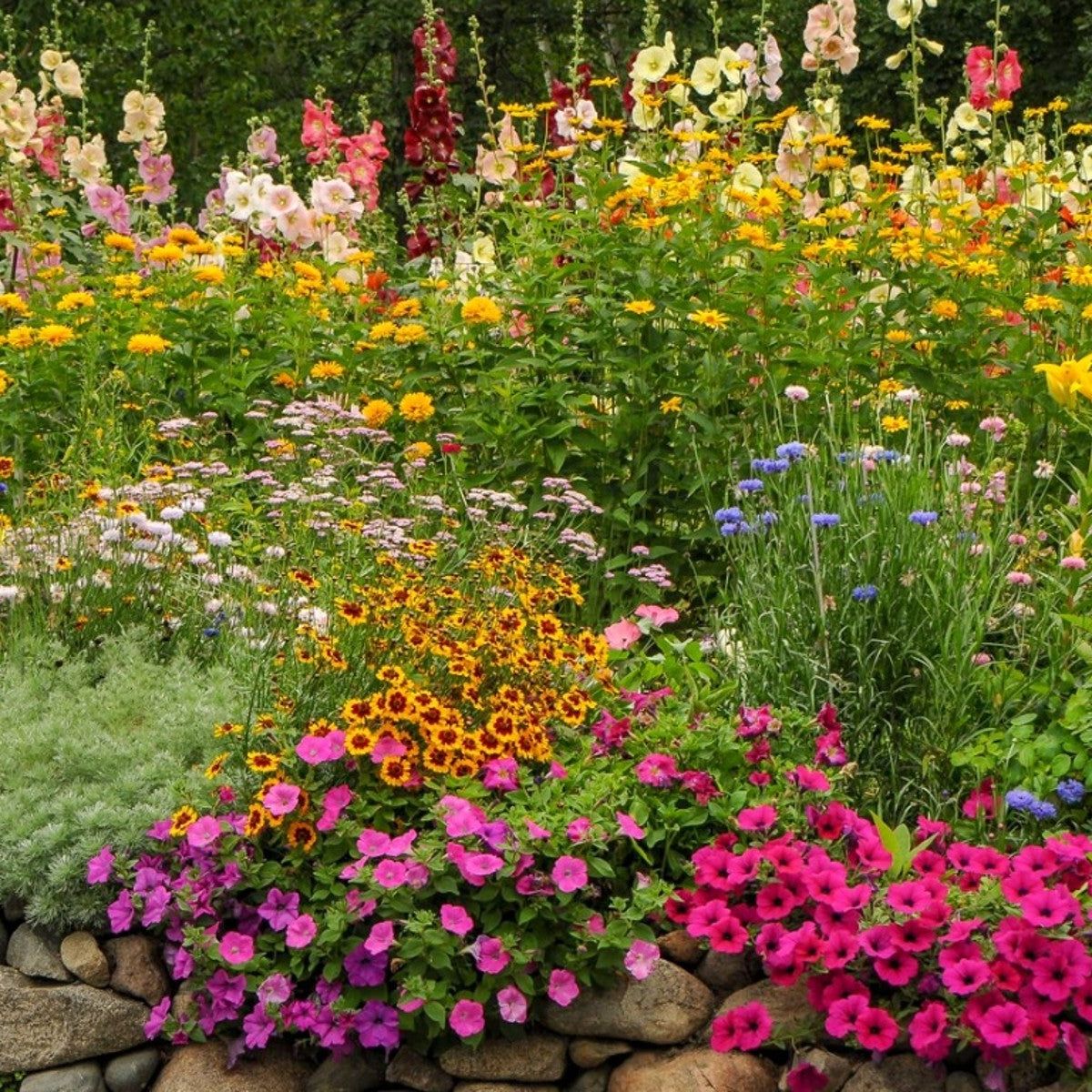 Cottage Garden Plants