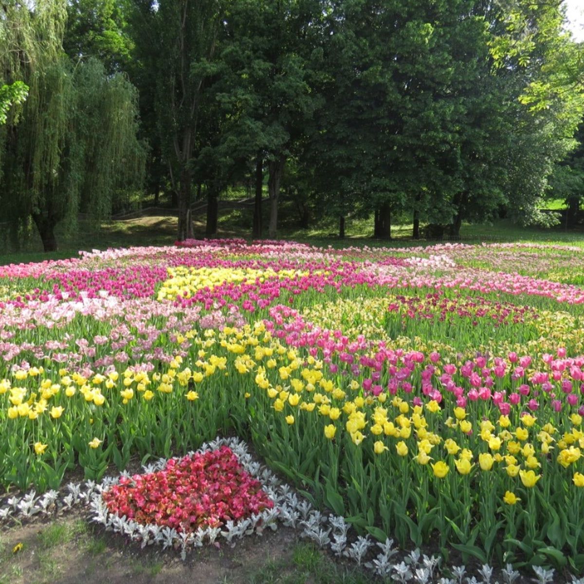 Irregular Shape Flower Garden