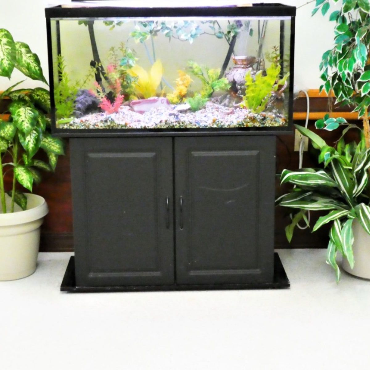 Empty Fish Tank Ideas