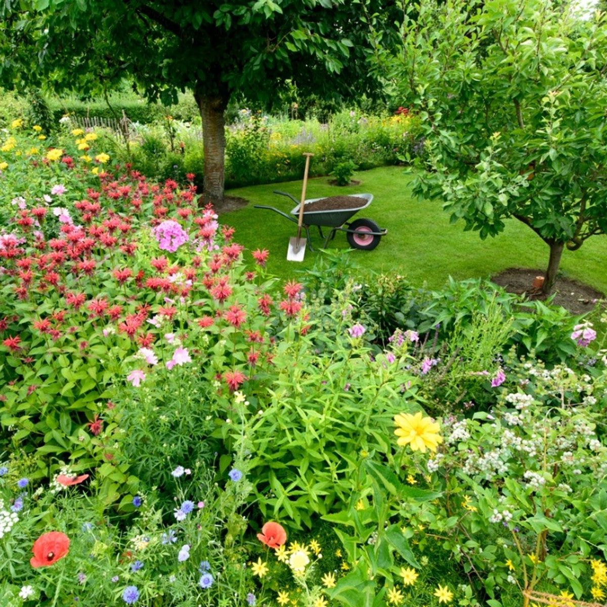 Natural Flower Bed Design Photography — Blog — Arthur Road