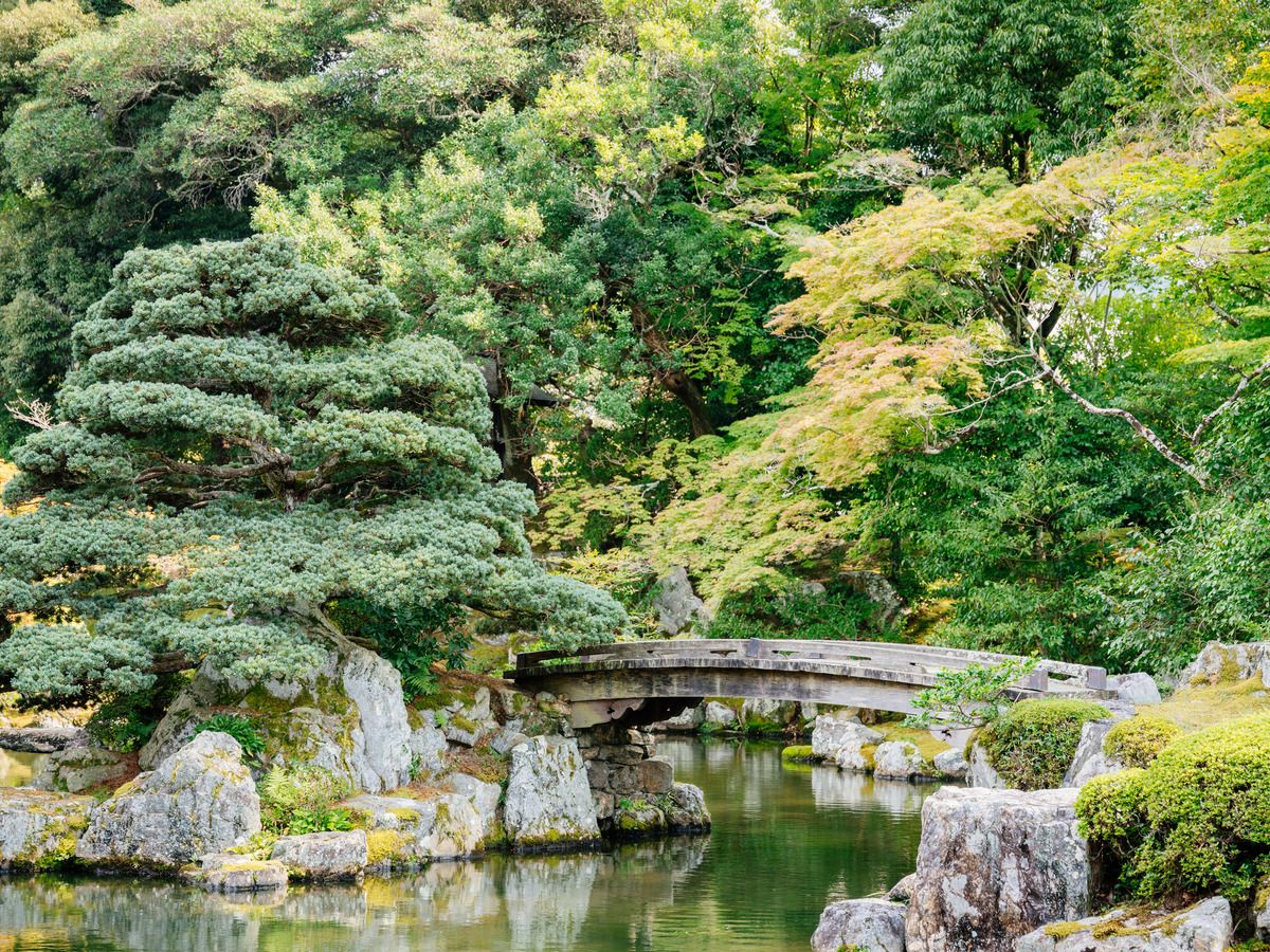 Japan Garden Bridge Tree Image Of Upper Pond'S Zigzag Shaped Bridge