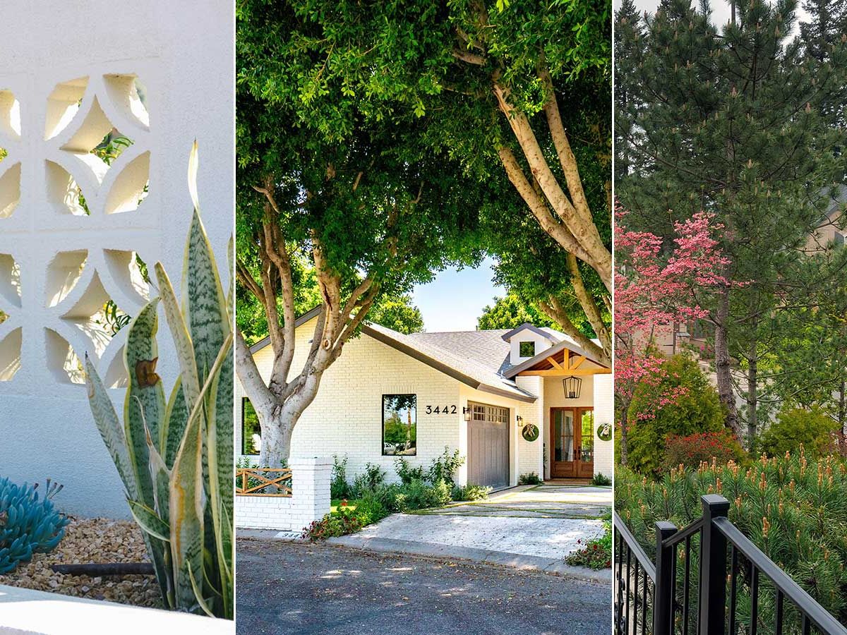 Street Privacy Landscaping Ideas