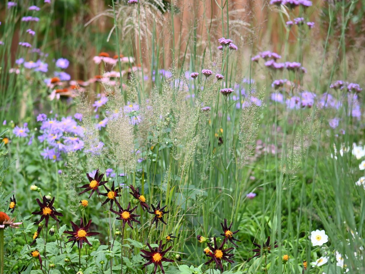 Prairie Planting In Small Spaces