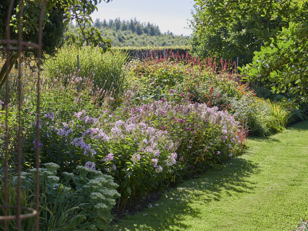 Small Flowering Bushes Full Sun 10 Beautiful Flowering Shrubs For Sun