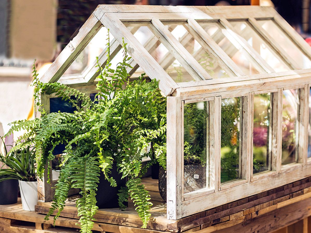 Greenhouse Plant Table Plans