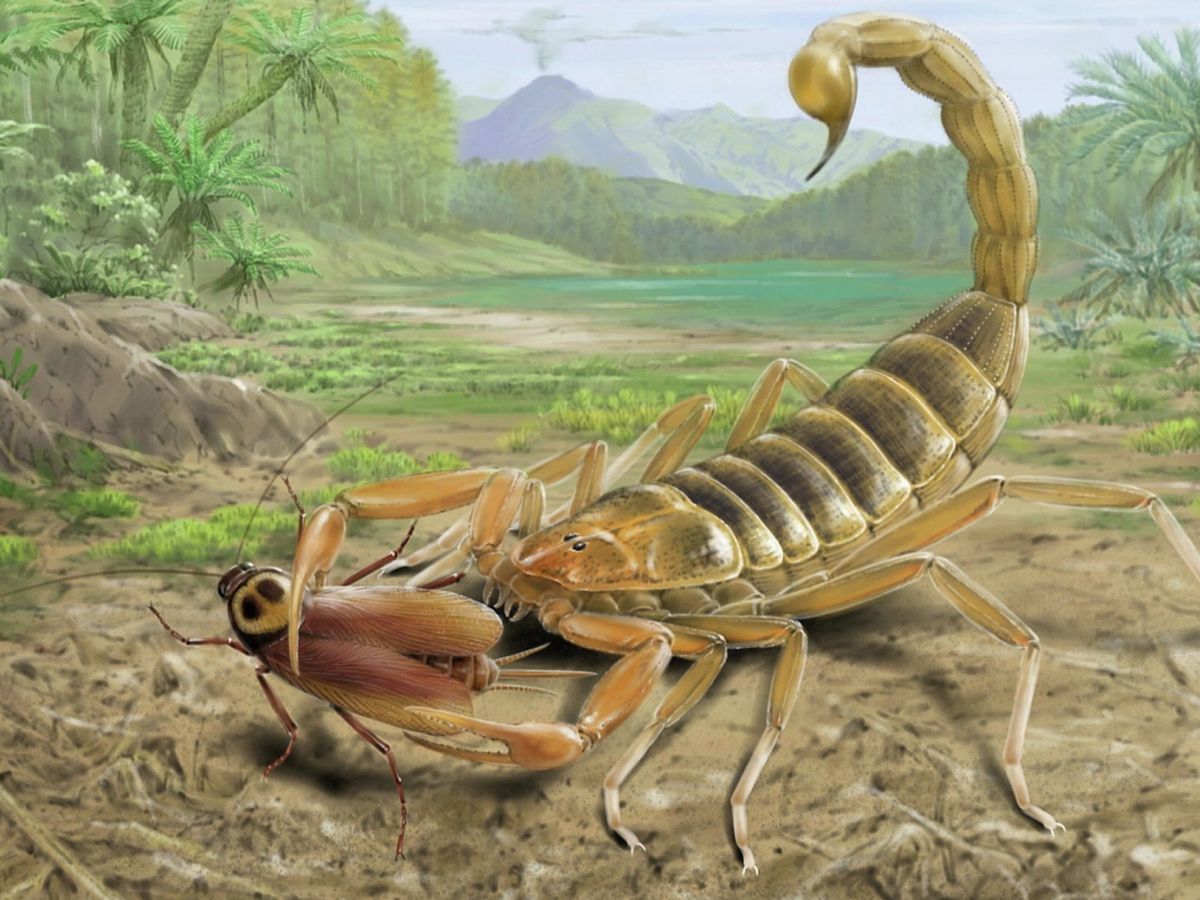 Flying Scorpion Discovered