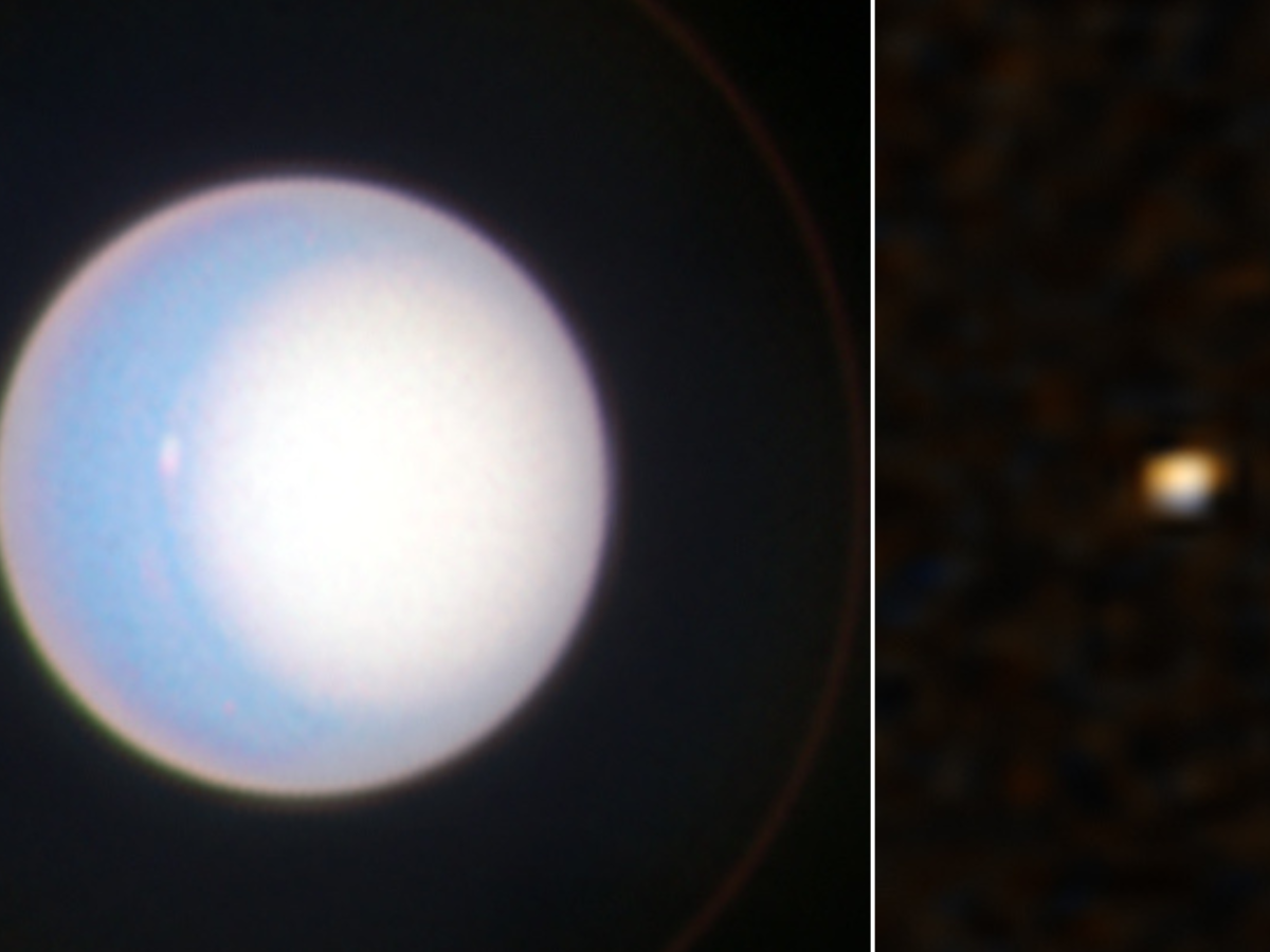 Proxima Centauri Hubble Hubble Telescope And New Horizons Pluto Probe