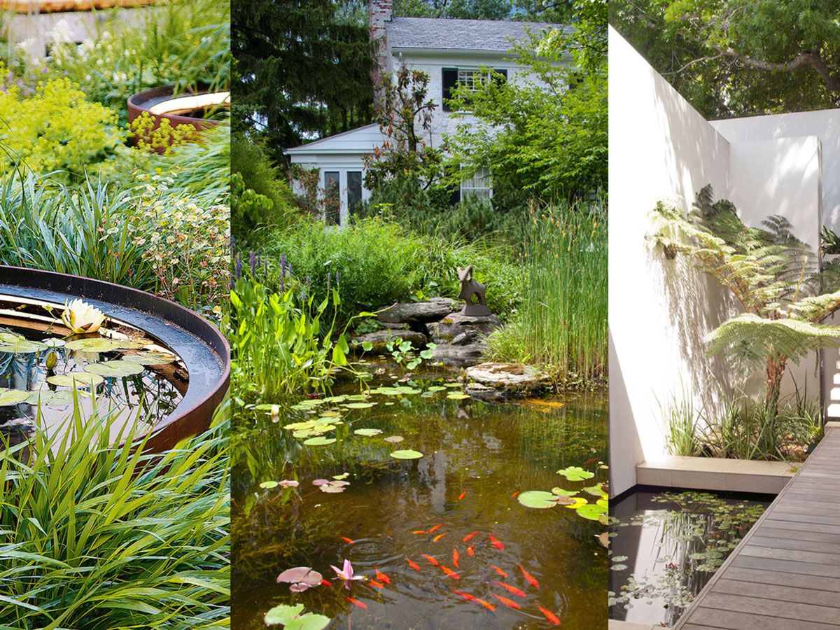 Back Yard Fish Pond Landscaping Ideas
