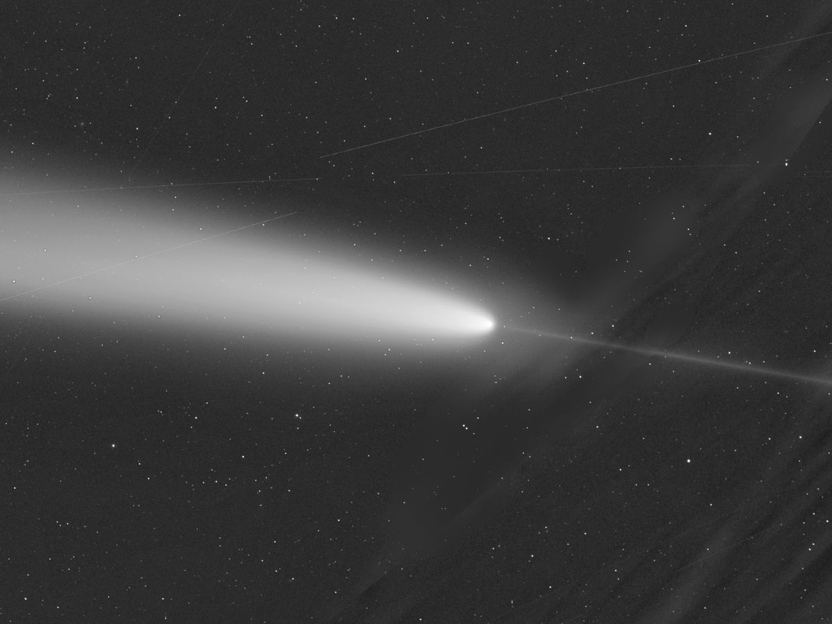 Cometas Theskylivecom