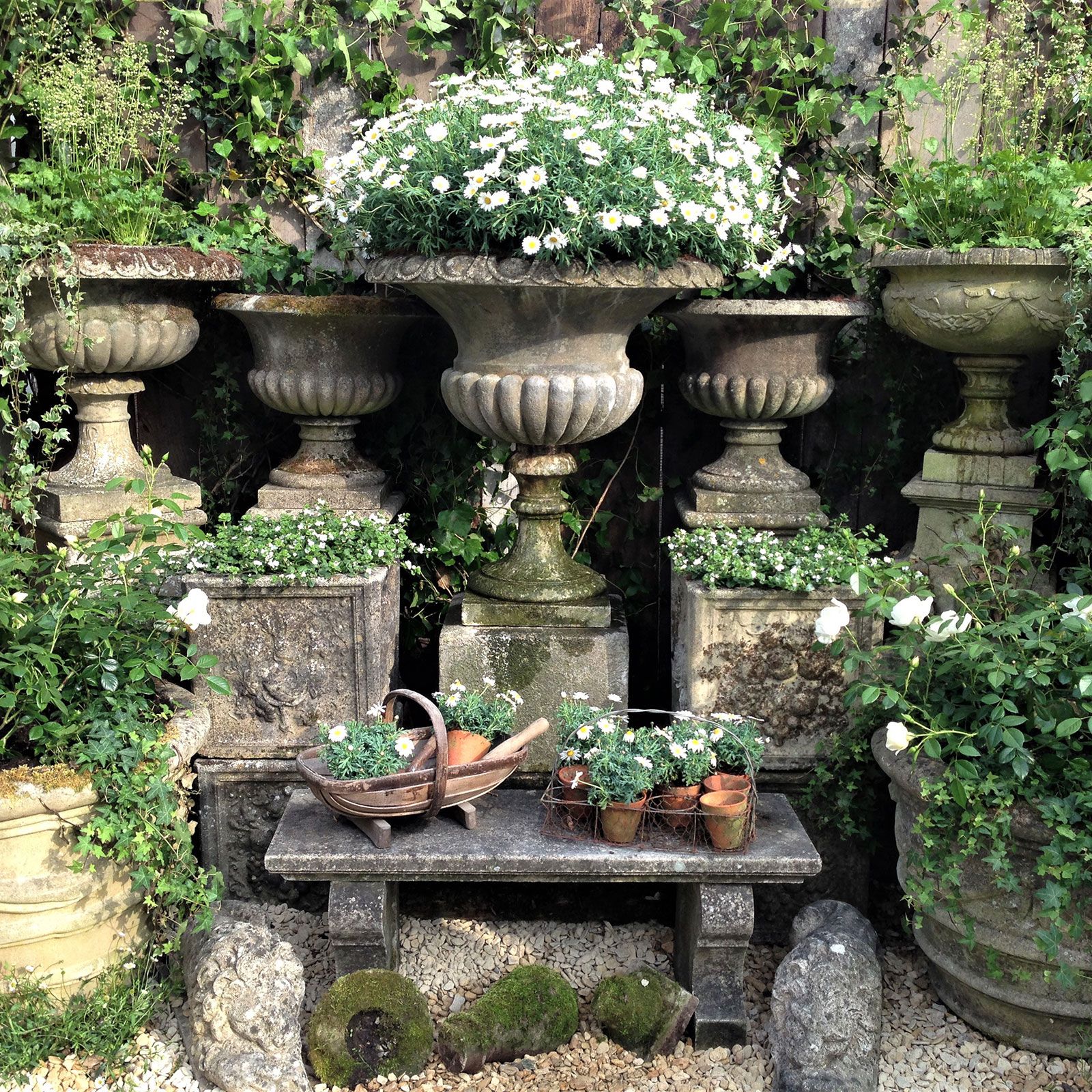 Vintage Container Garden Ideas 65 Container Garden Ideas We Love For