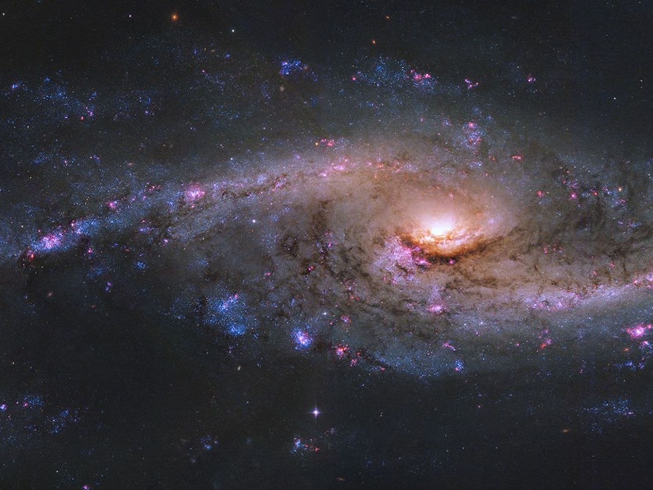 The Most Beautiful Star In The Galaxy