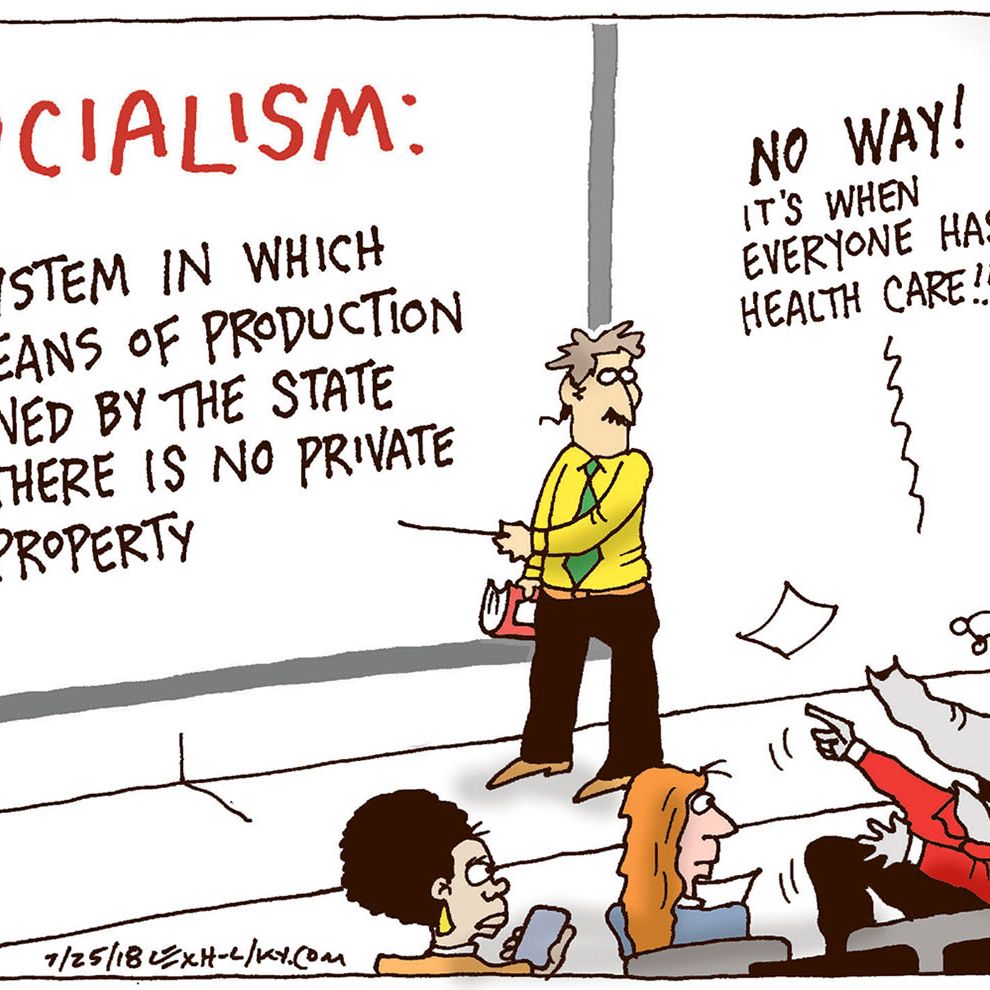 Political Cartoon Definition For Kids - Infoupdate.org