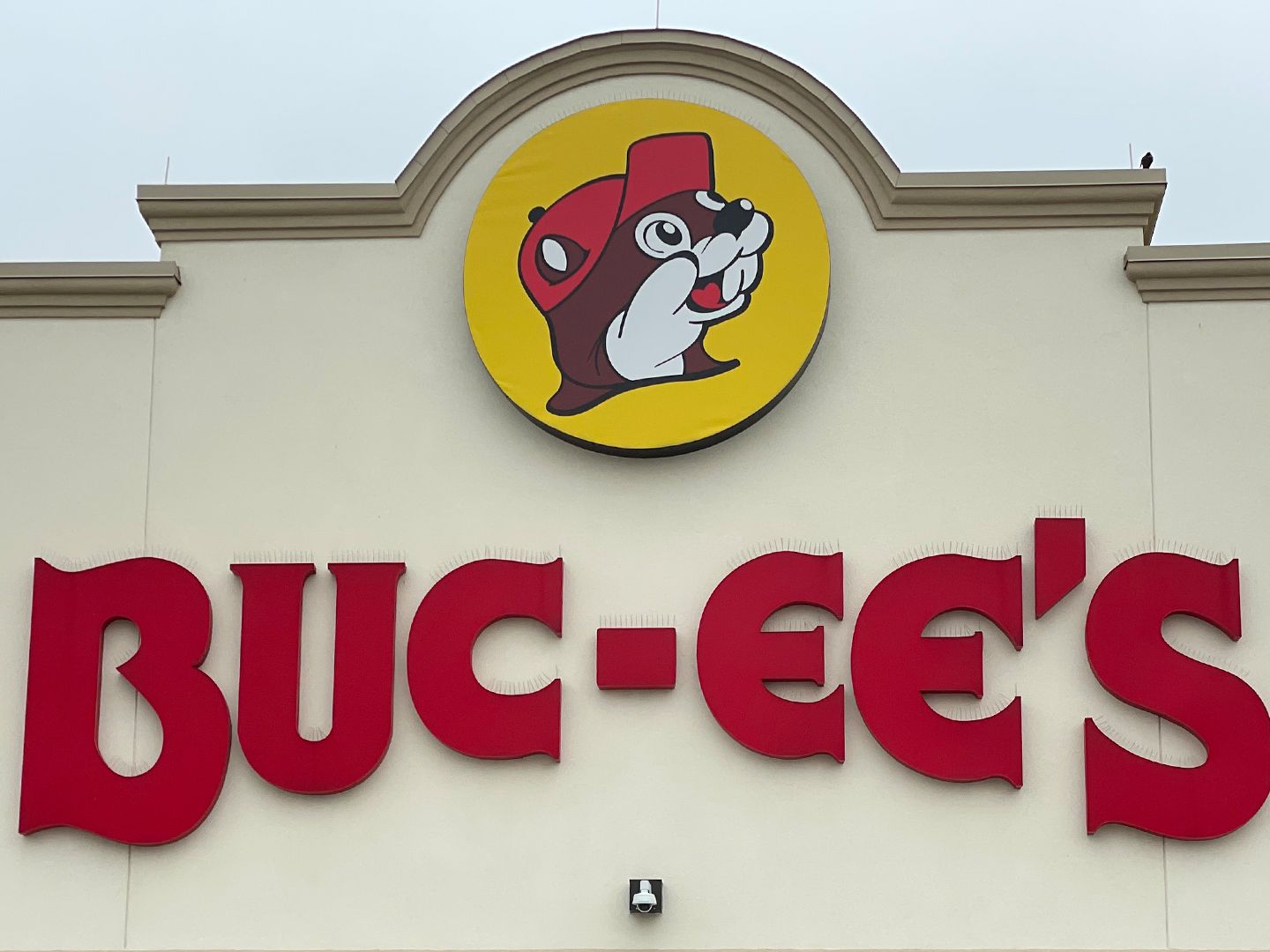 Buc Ees Logo Buc Ee’s Sticker Decal Beaver Logo 4” Inch NEW