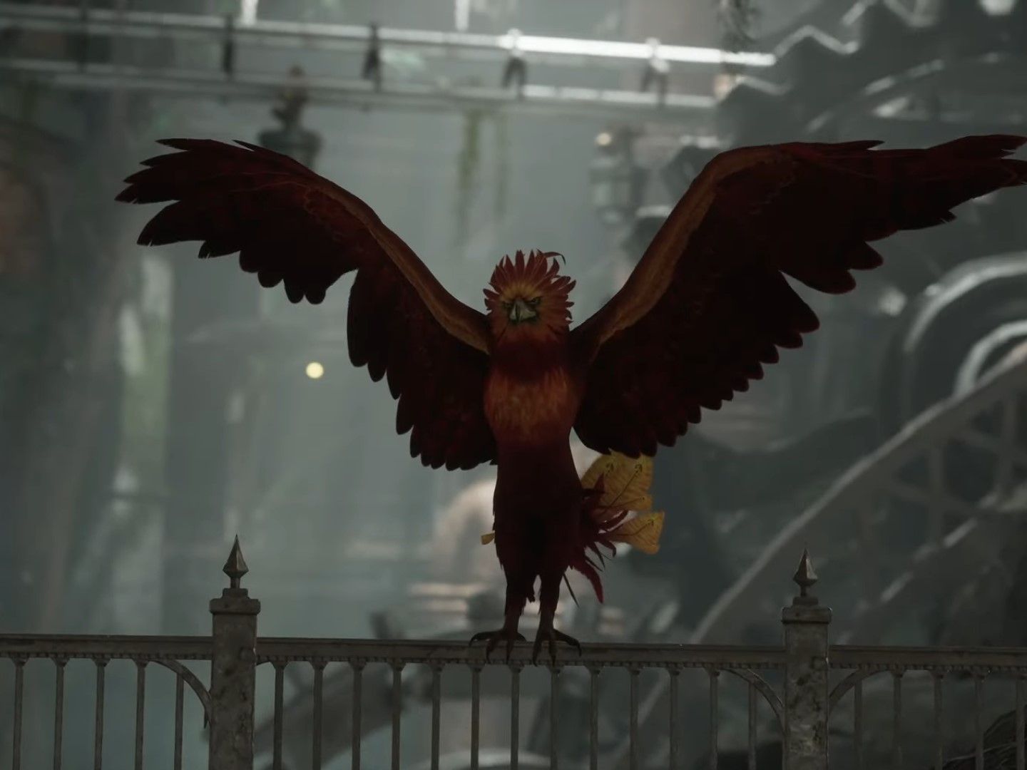 Fox The Phoenix Harry Potter