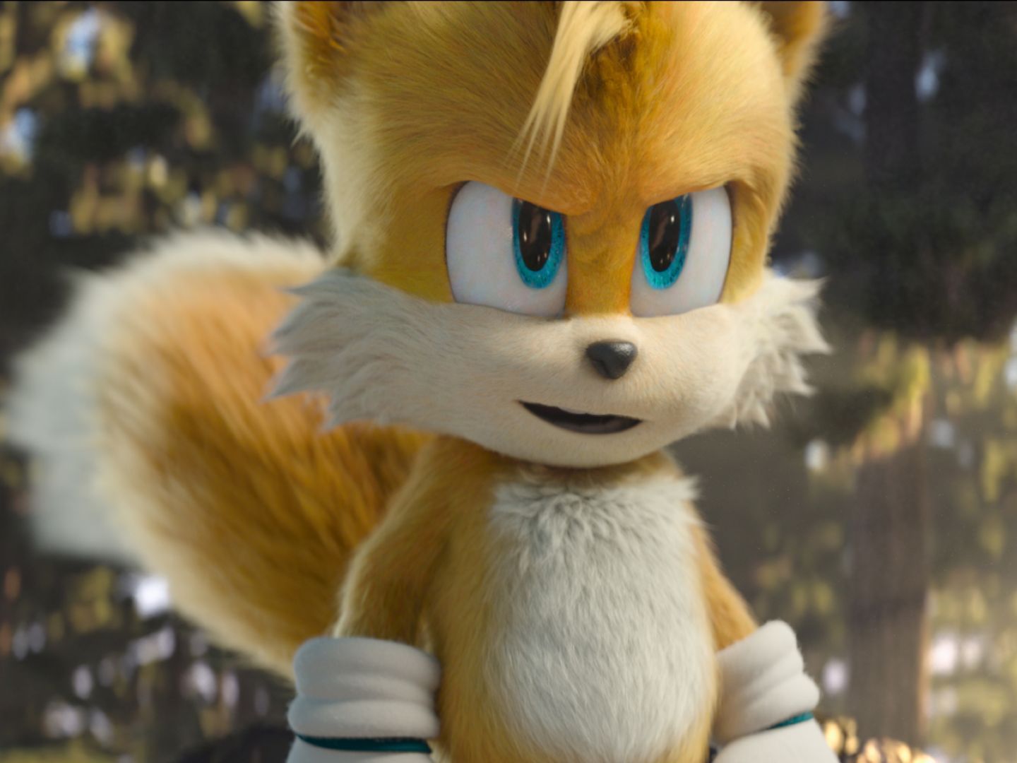 Sonic Loves Tails