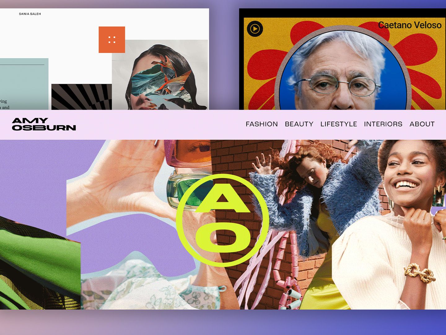 Web Design Portfolio Examples