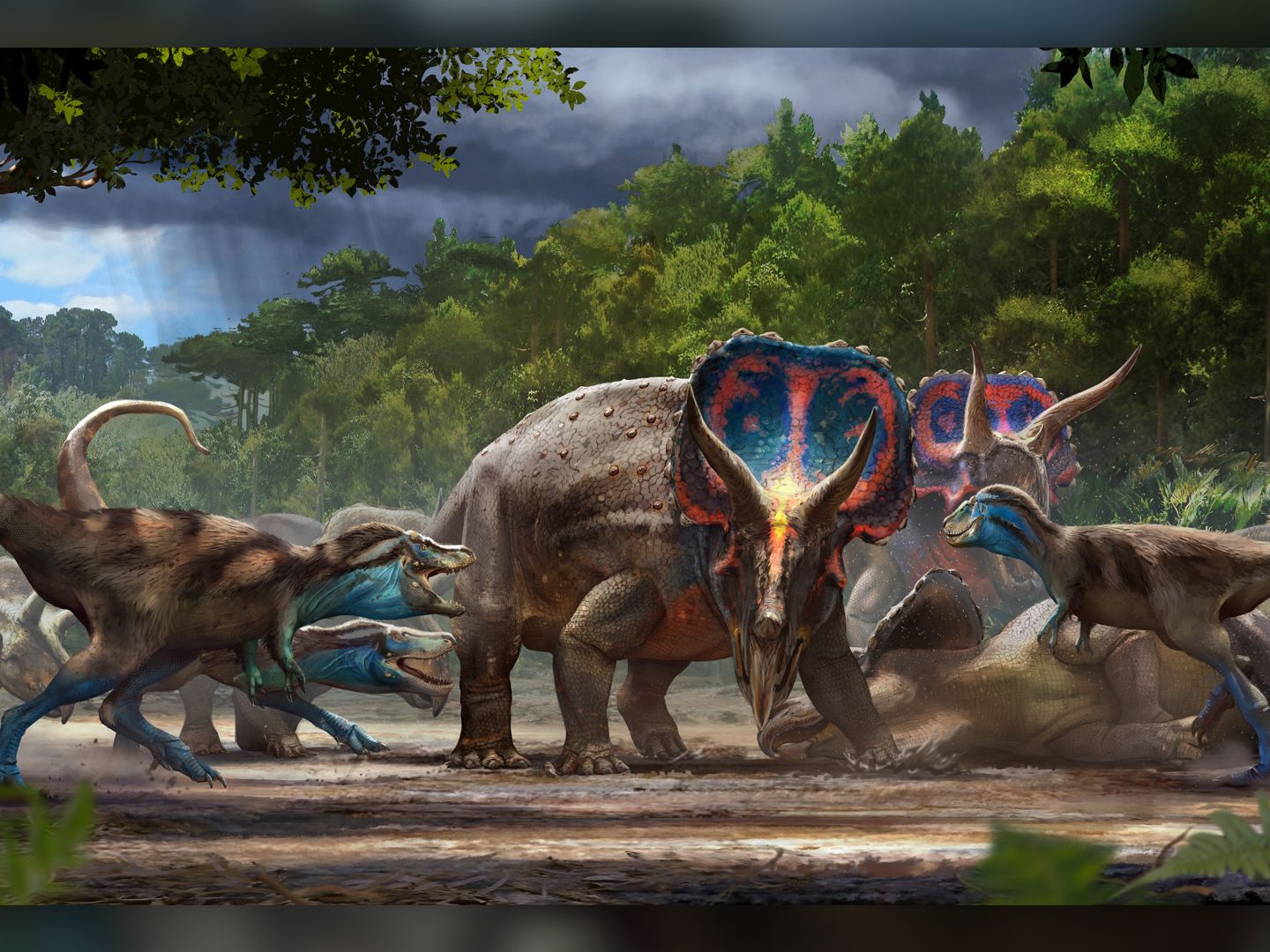 Rex Contra Triceratops Por