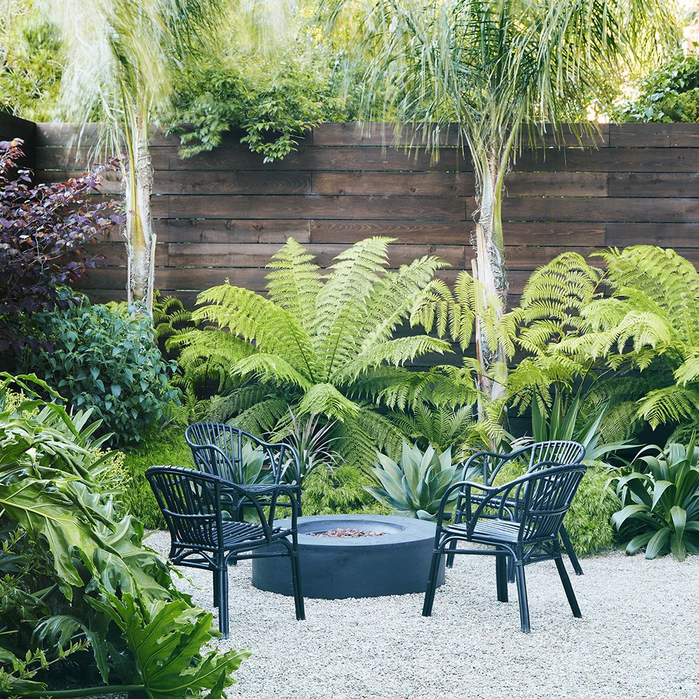 Plants Around Palm Trees