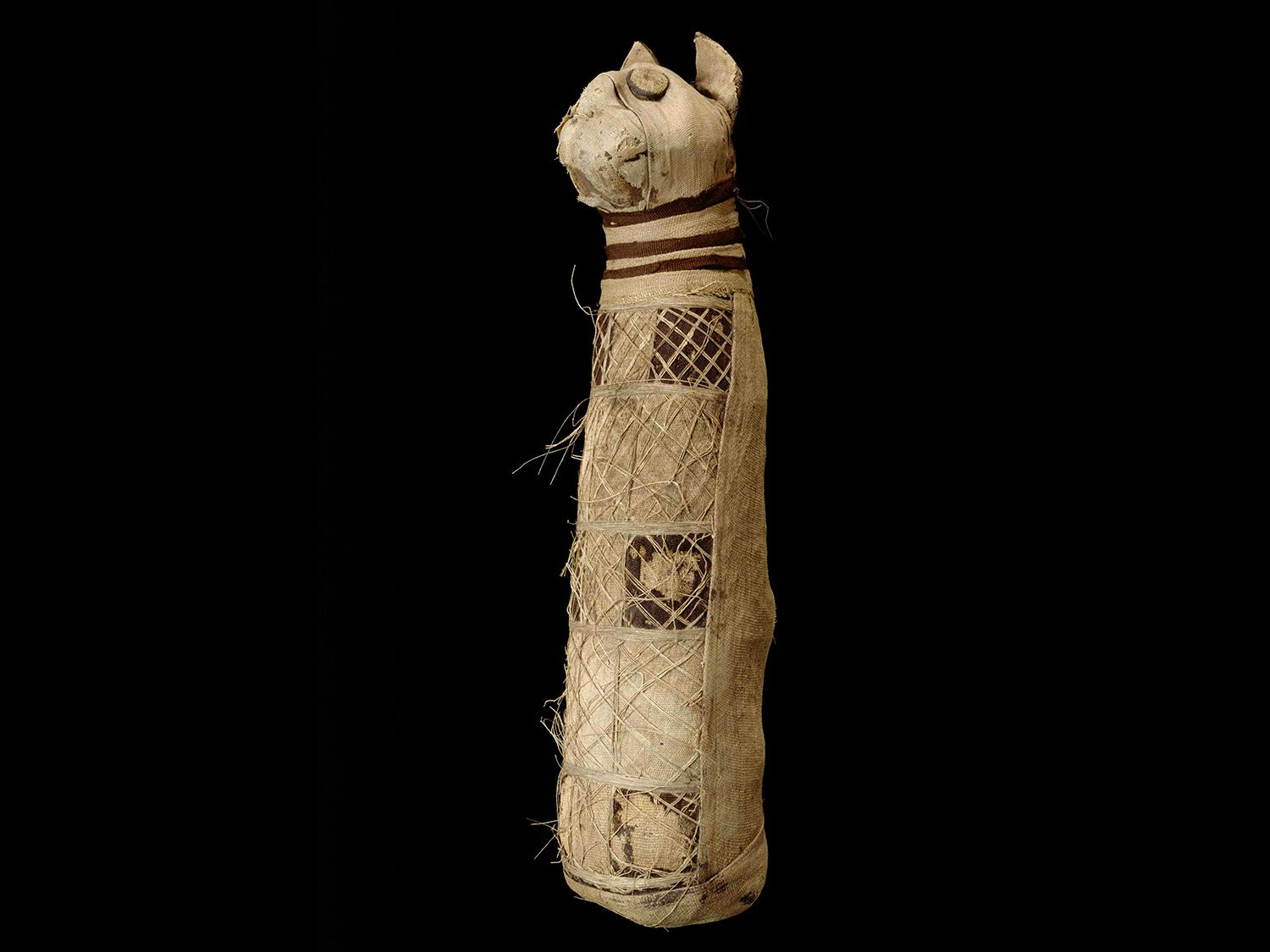 Ancient Egyptian Mummified Cat