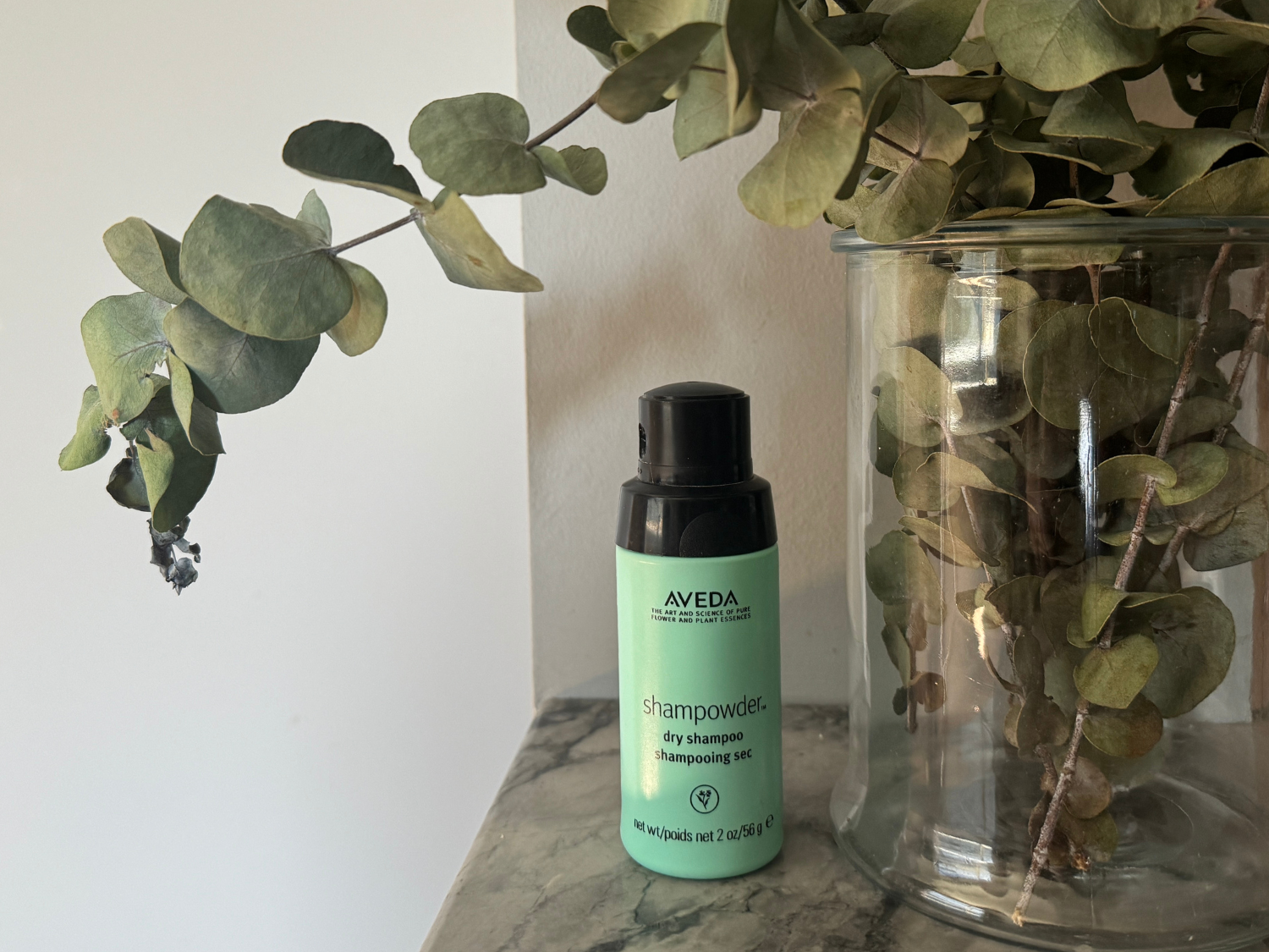 Powder Power Dry Shampoo